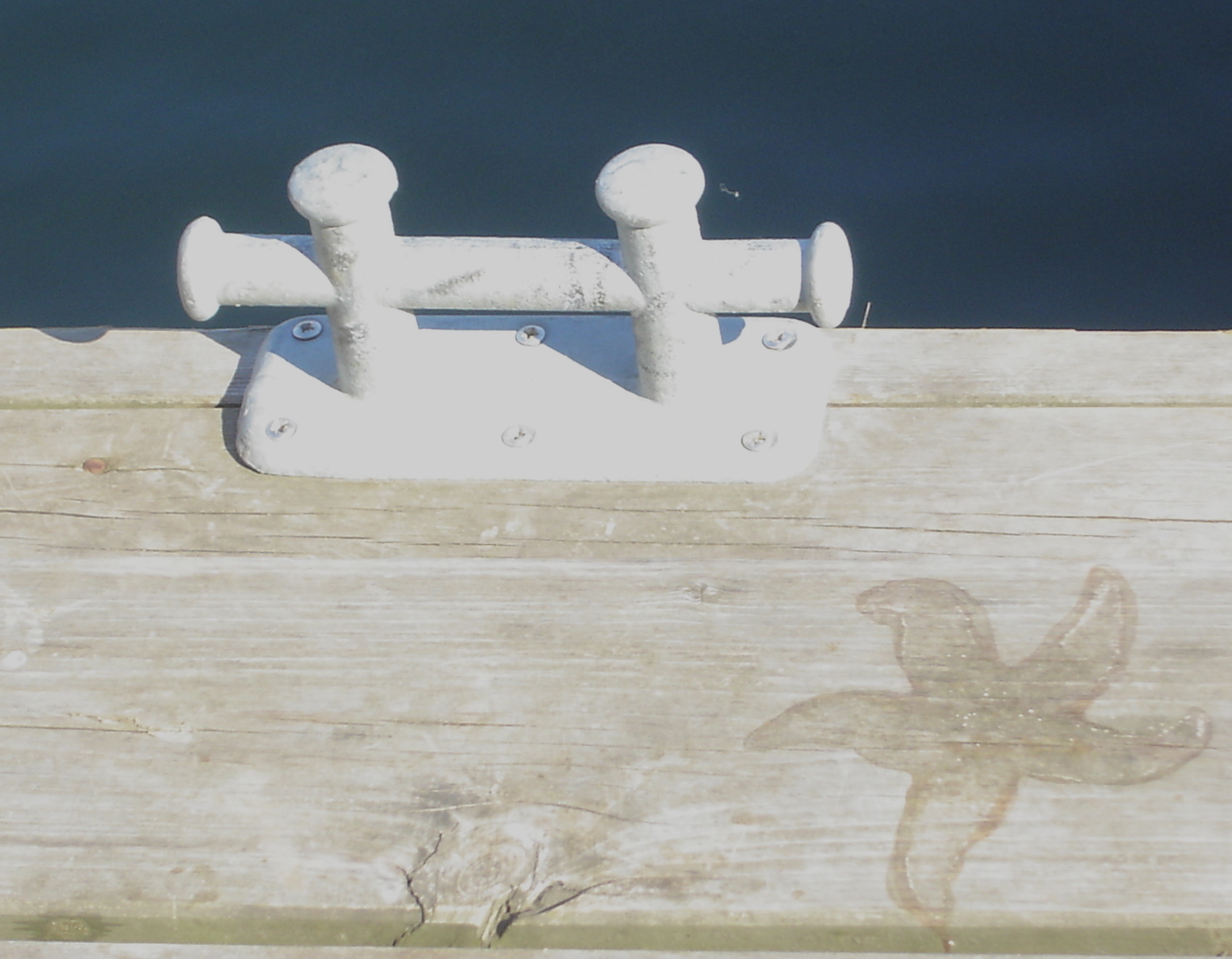 MaRenate – mehr aus Meer